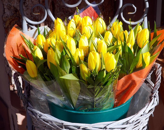 Tulip Bunga-Bunga Buket - Foto gratis di Pixabay - Pixabay