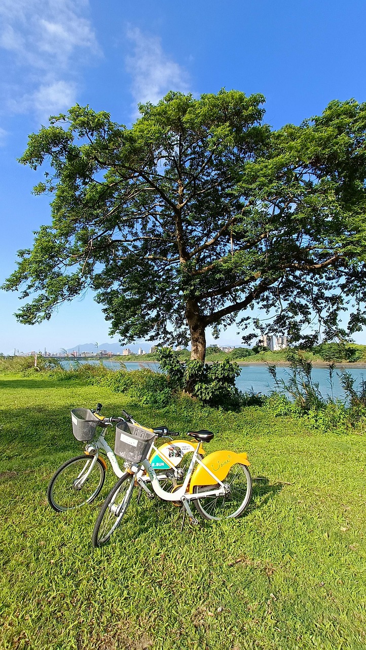Bike Ubike Bicycle Free Photo On Pixabay Pixabay bike-ubike-bicycle-free-photo-on-pixabay-pixabay