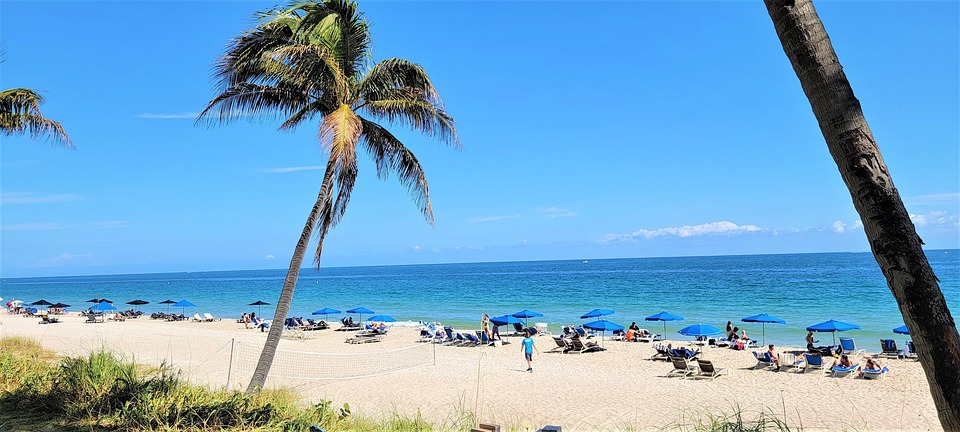 Florida Tropisch - Kostenloses Foto auf Pixabay - Pixabay