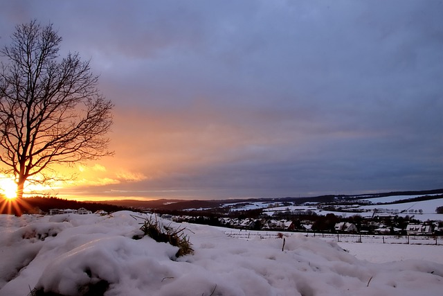 Tree Sunset Snow - Free photo on Pixabay