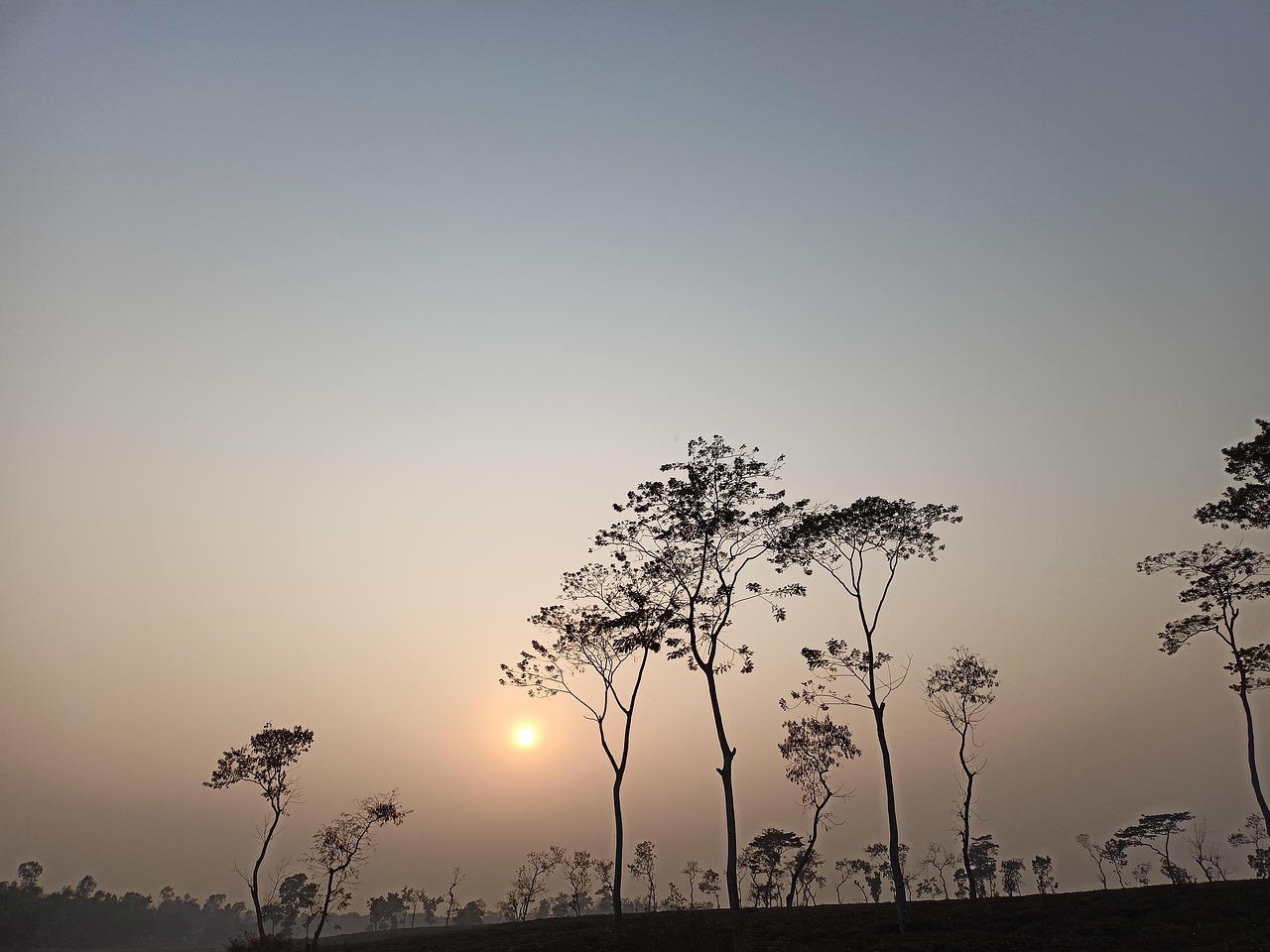 La Photographie Nature Le Coucher - Photo gratuite sur Pixabay - Pixabay