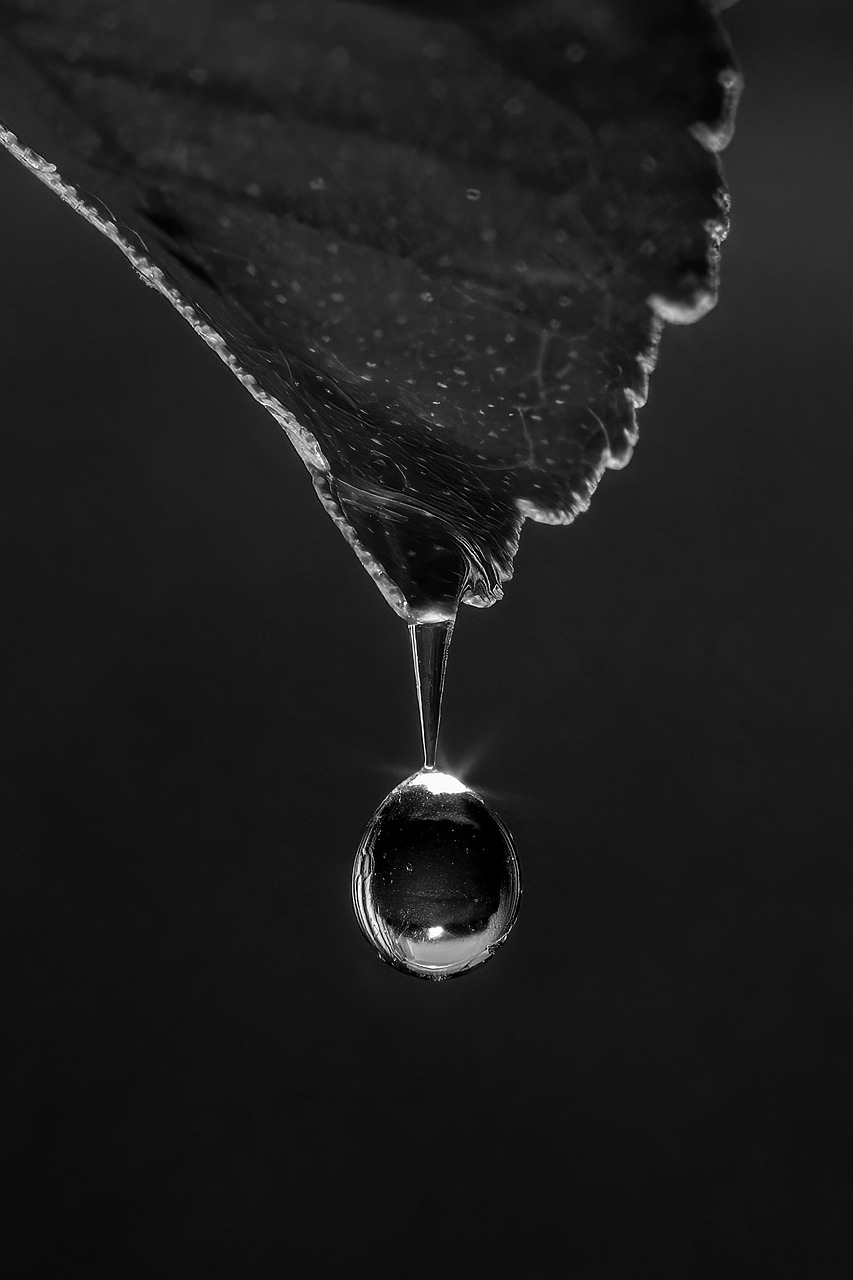 Water Drop Liquid - Free photo on Pixabay