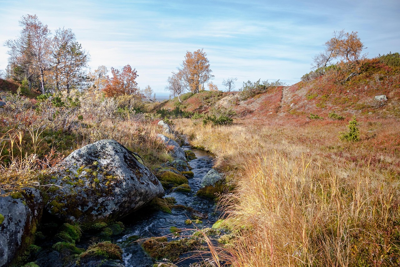 Nature Automne En Plein Air - Photo gratuite sur Pixabay - Pixabay