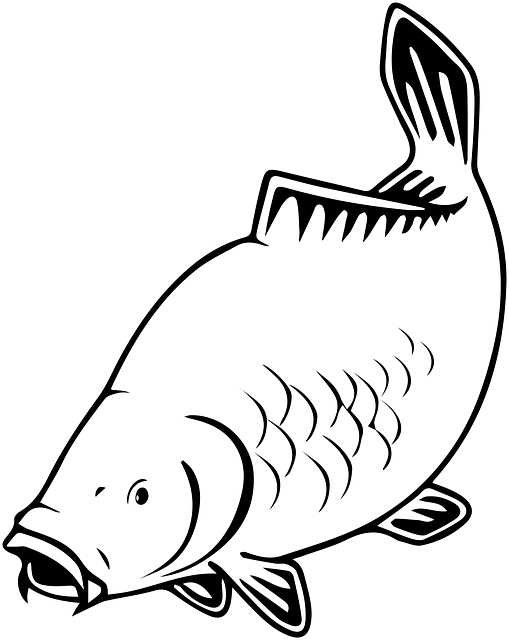 500+ kostenlose Karpfen und Koi-Bilder - Pixabay