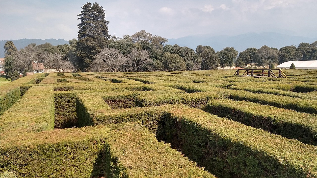 Labyrinthe Paysage Chemin La - Photo gratuite sur Pixabay - Pixabay
