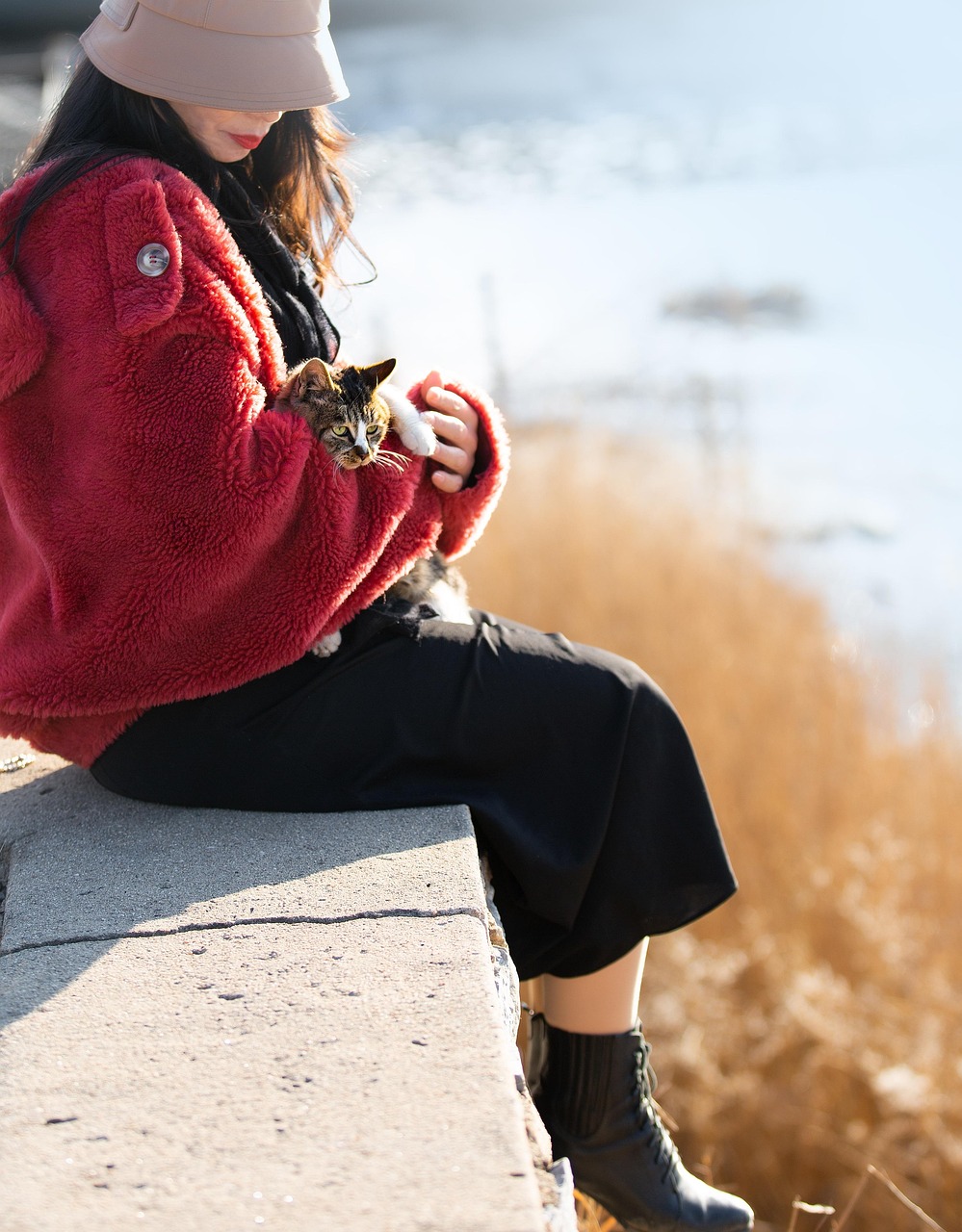 Woman Stray Cat Rescue - Free photo on Pixabay - Pixabay