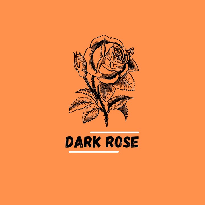 Download Rose Drawing Artwork Dark Rose Royalty Free Stock Illustration Image Pixabay