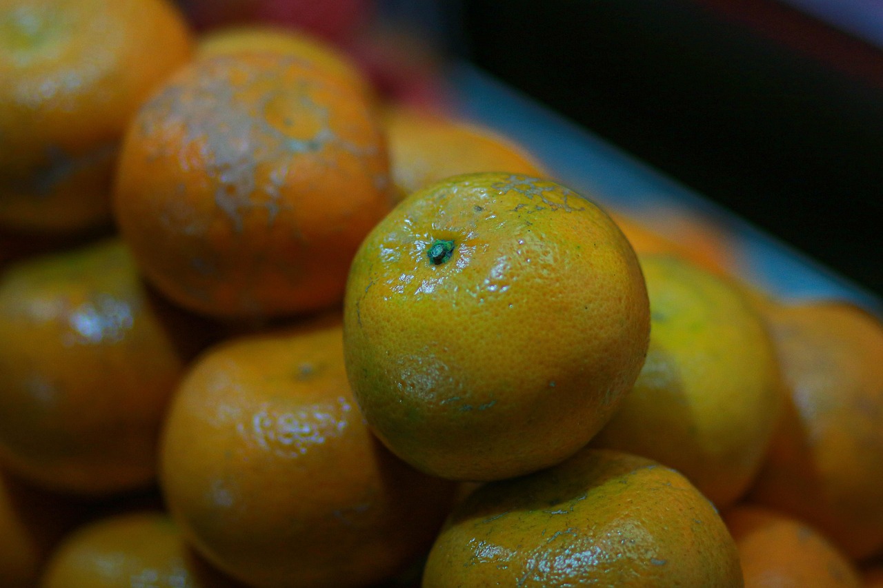 Orange Nature Food - Free photo on Pixabay - Pixabay