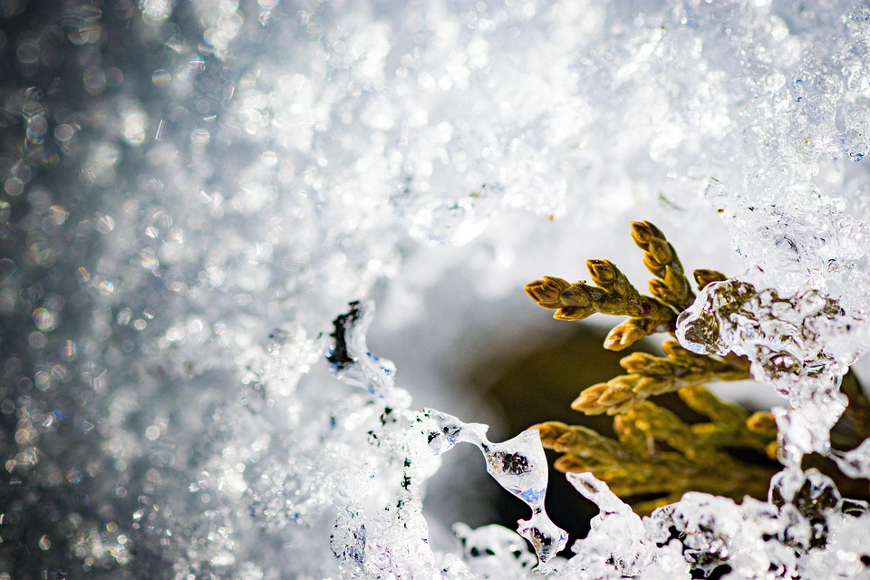 La Glace Hiver Saison - Photo gratuite sur Pixabay - Pixabay