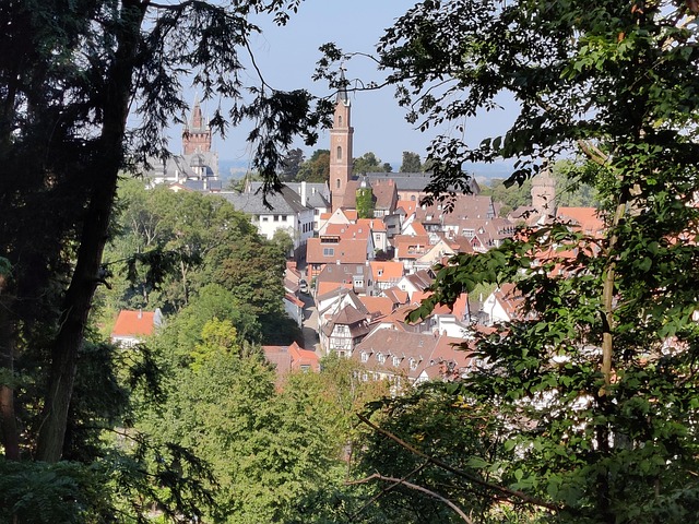 Weinheim 异国森林 城市 - Pixabay上的免费照片 - Pixabay