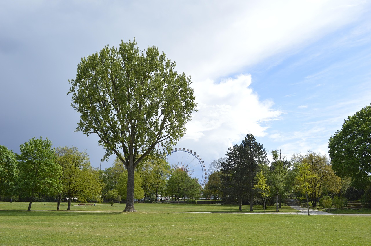 Trees Nature Park - Free photo on Pixabay - Pixabay