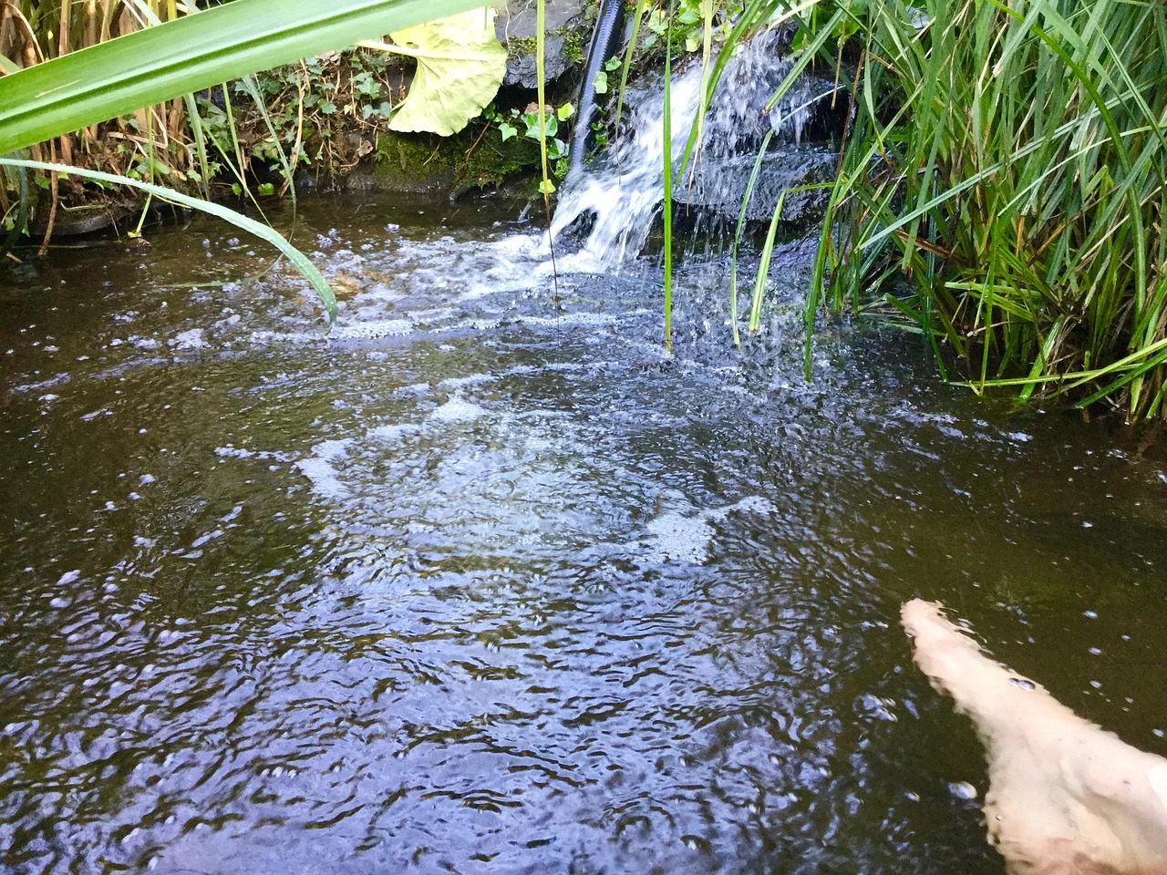 Idleness Pond Cascade - Free photo on Pixabay