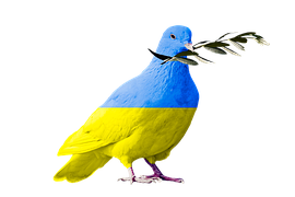 Ukraine Flag Dove Of Peace - Free image on Pixabay