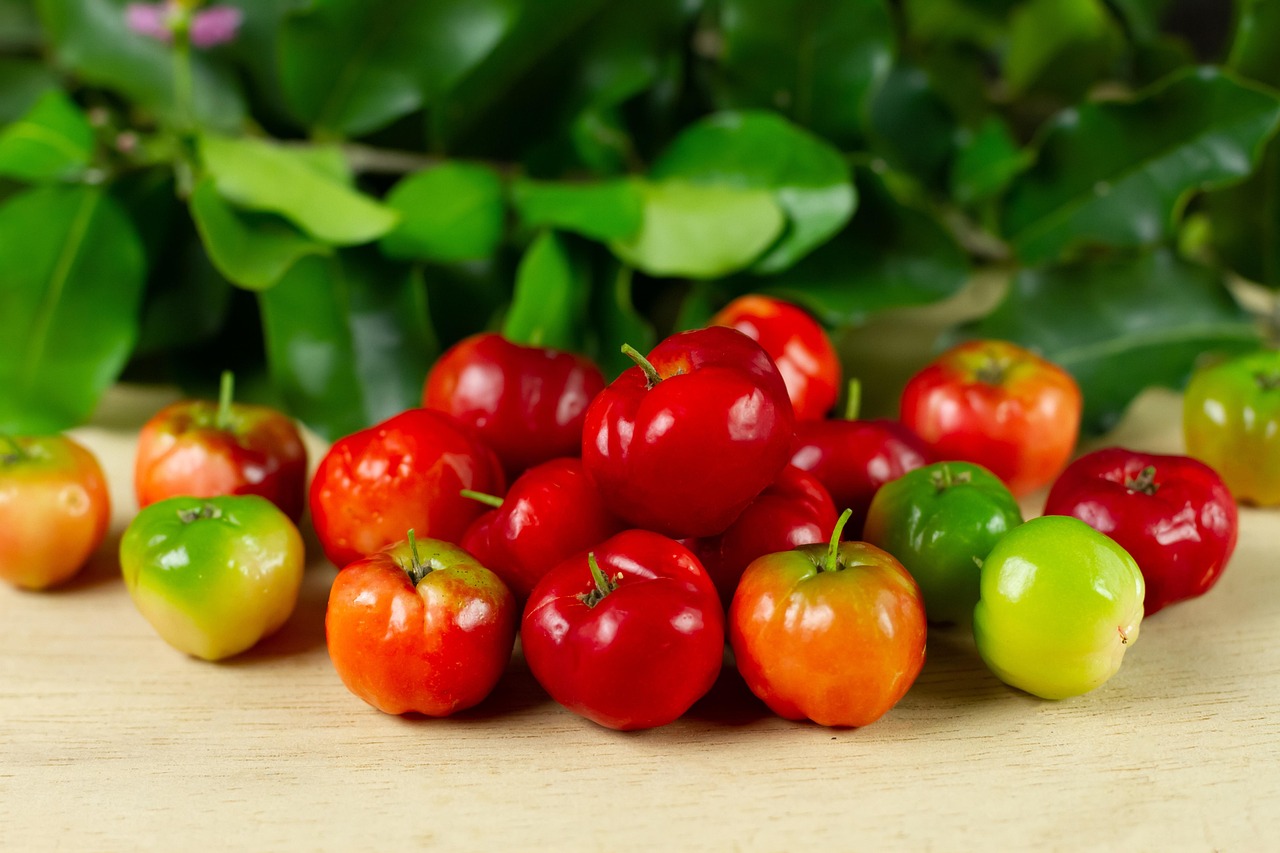 Barbados Cherry Fruta Comida - Foto gratuita no Pixabay - Pixabay