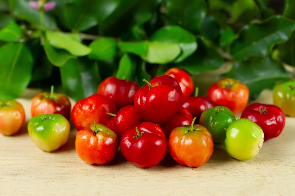 Barbados Cherry Fruit Food Acerola - Free photo on Pixabay - Pixabay