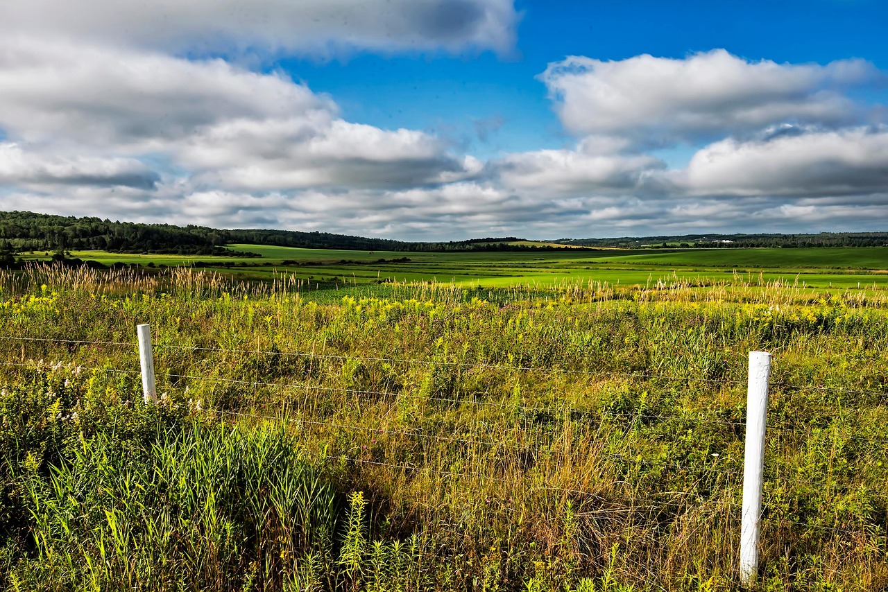 30,000+ Free Pastoral Scenery & Scenery Images - Pixabay