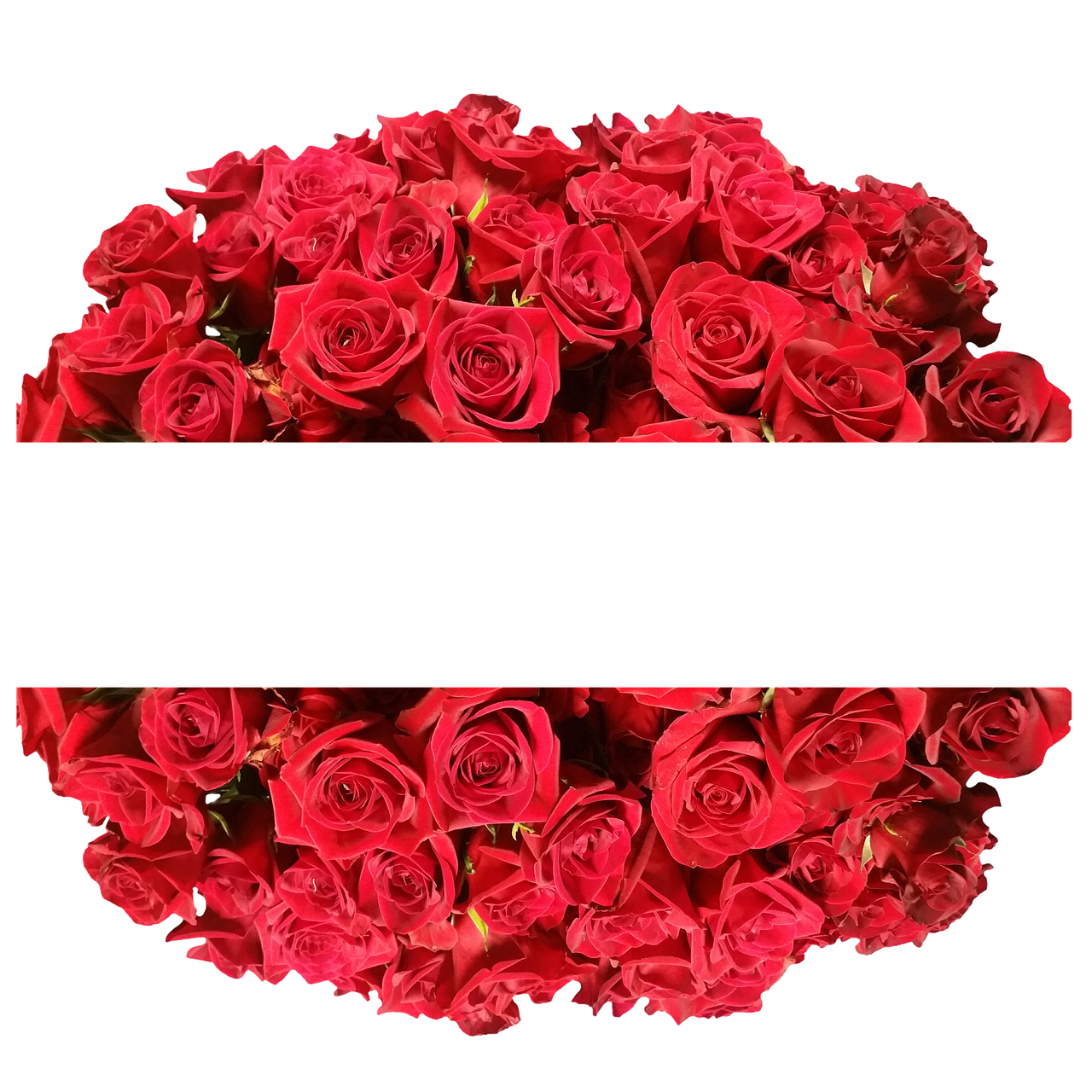 Explore 236+ Free Rose Border Illustrations: Download Now - Pixabay