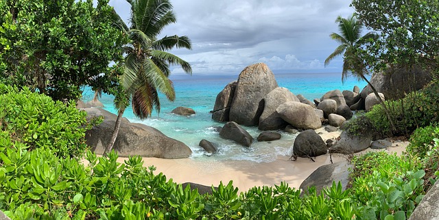 Seychelles Sea Beach - Free photo on Pixabay - Pixabay