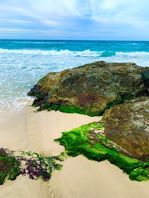 Océan Mer Plage - Photo gratuite sur Pixabay - Pixabay