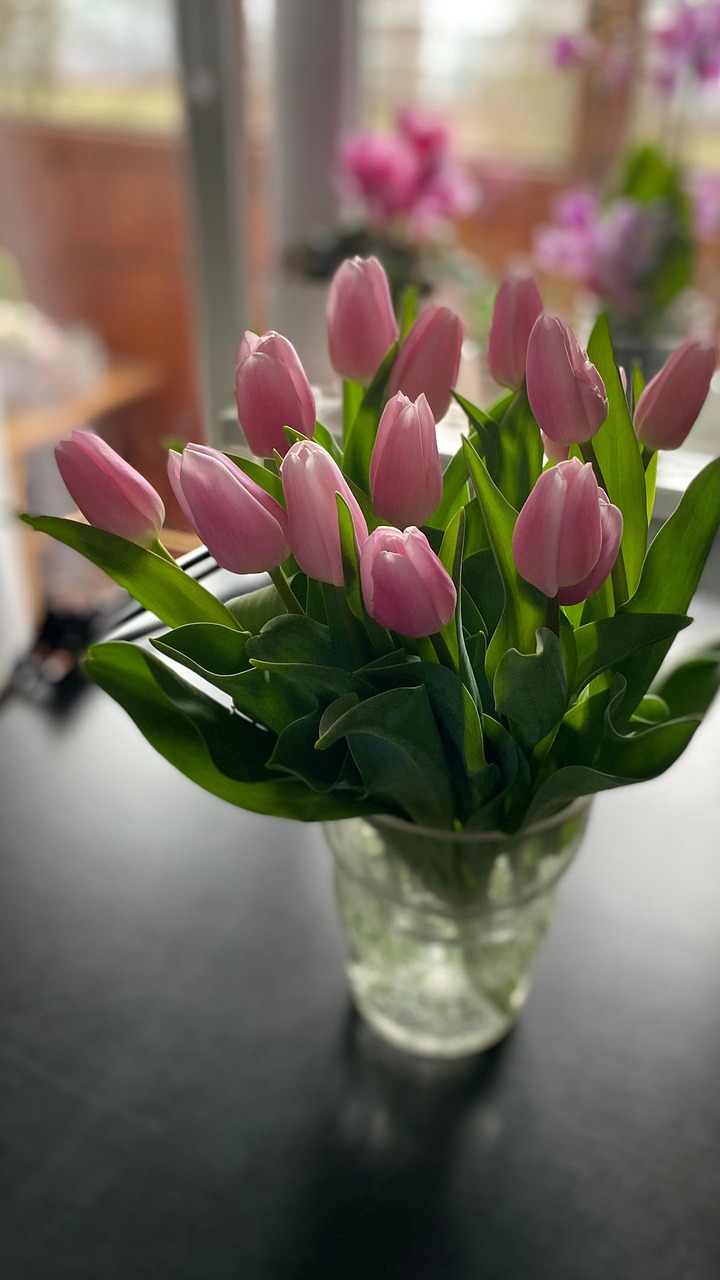 Bunga-Bunga Tulip Buket - Foto gratis di Pixabay - Pixabay