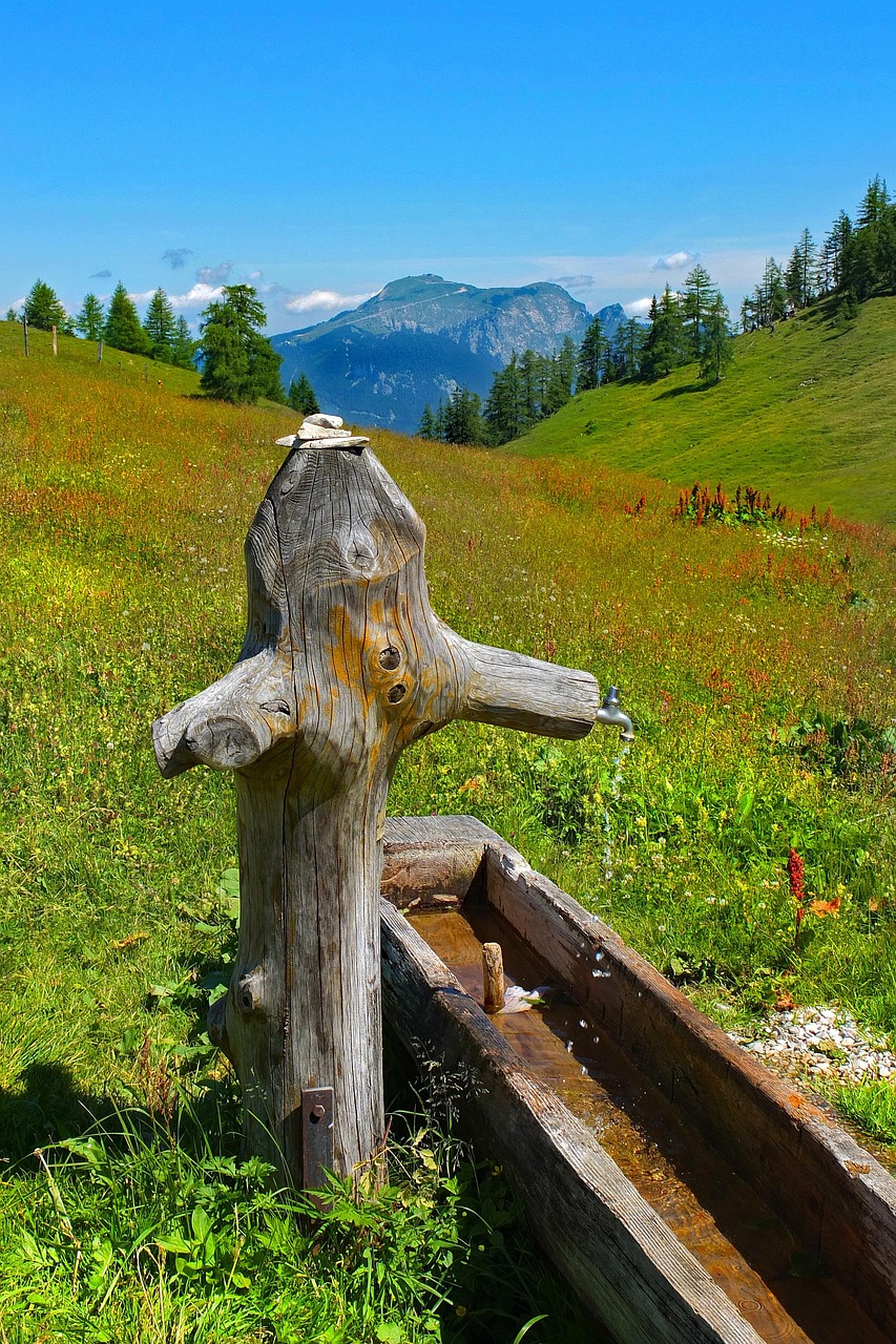 Pasture Meadow Mountains - Free photo on Pixabay