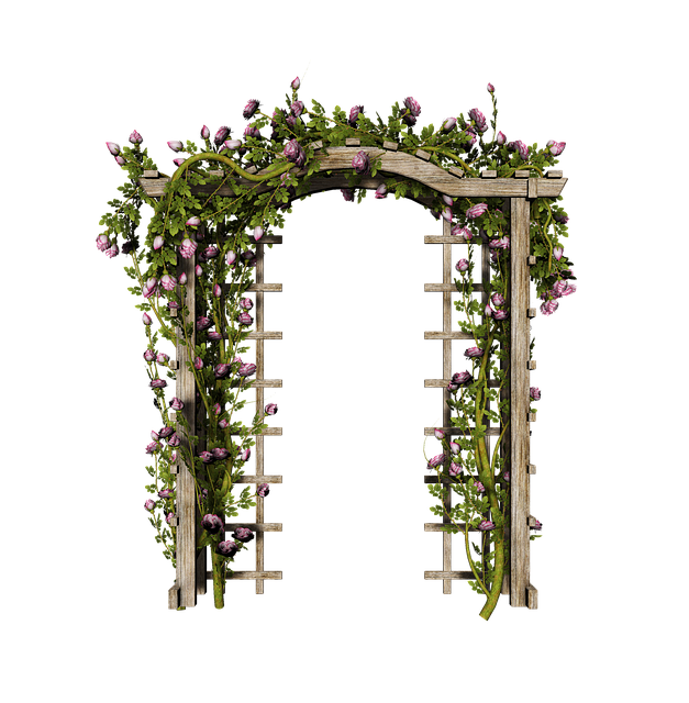 400,000+ Free Arch Background & Arch Images - Pixabay