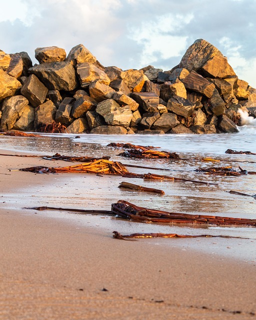 Beach Shore Sea - Free photo on Pixabay