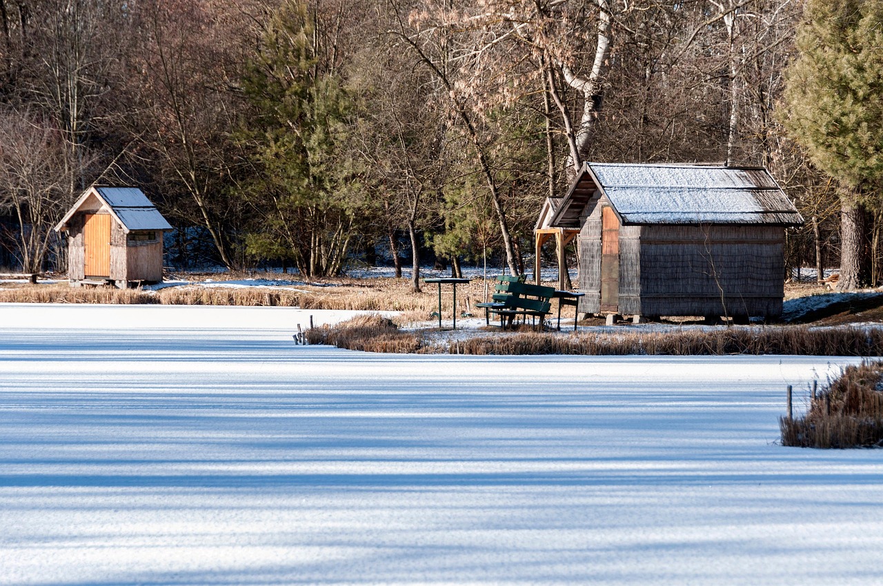 Lake Fishing Excursion - Free photo on Pixabay