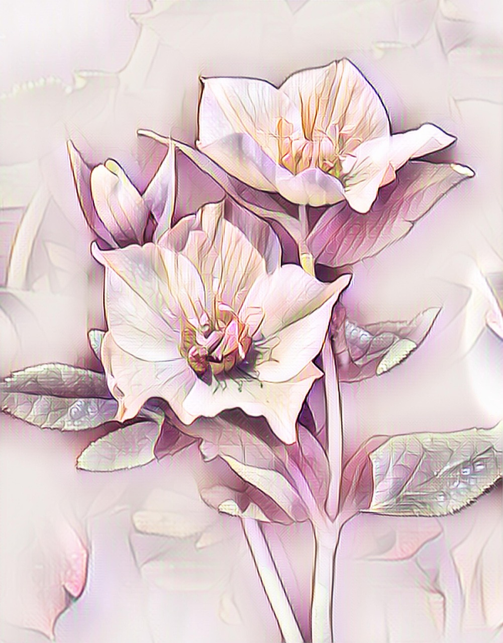 Rose De Noël Fleur Peinture - Image gratuite sur Pixabay