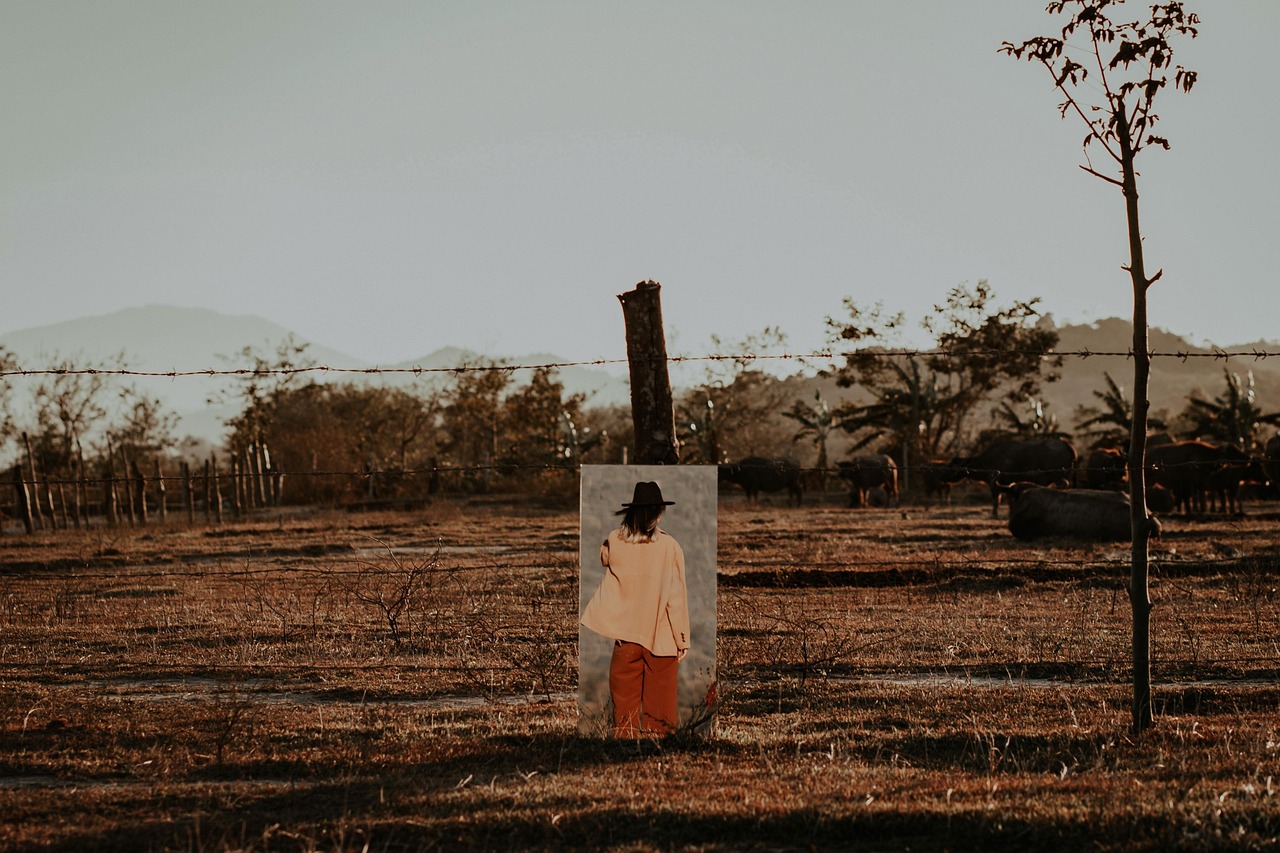Woman Mirror Field - Free photo on Pixabay - Pixabay