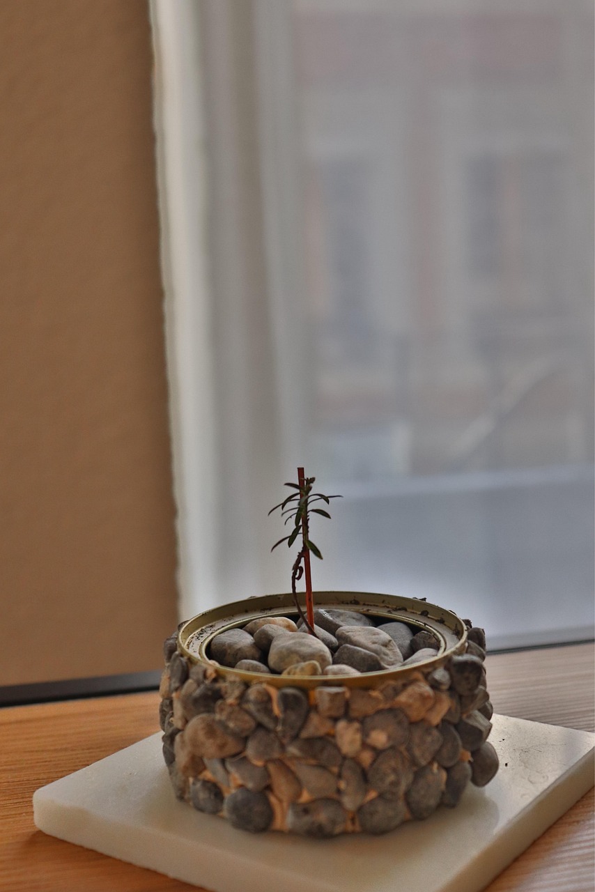 Tree Plant Decoration Mini - Free photo on Pixabay - Pixabay
