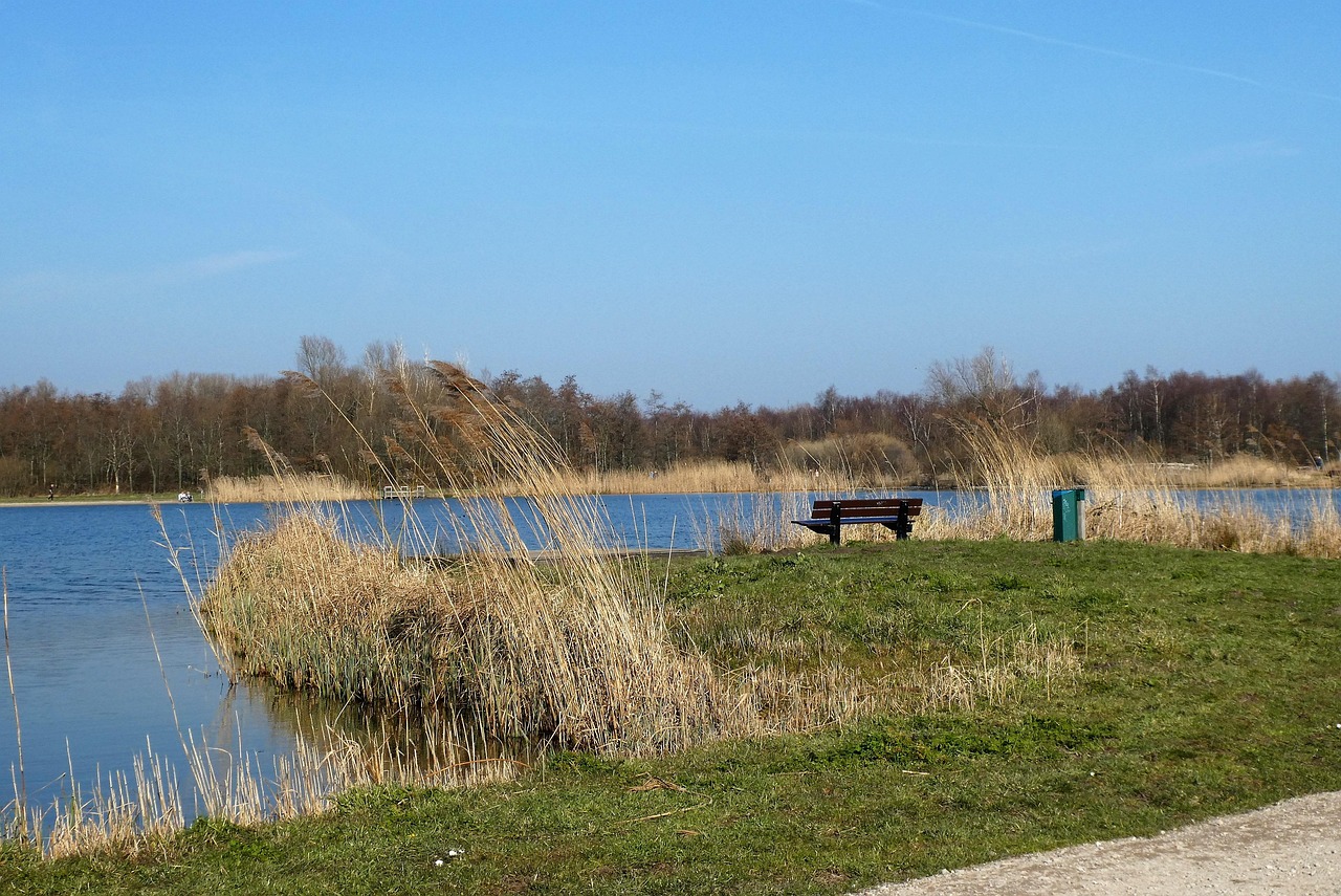 10,000+ Free Lakeside Relaxation & Lakeside Images - Pixabay