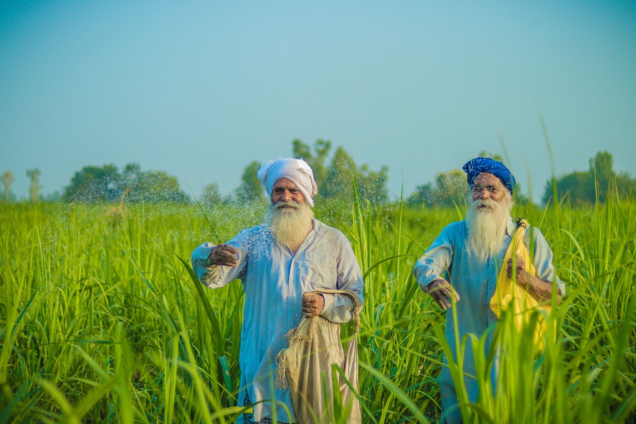 10,000+ Free Punjab Images & Background Image Images - Pixabay