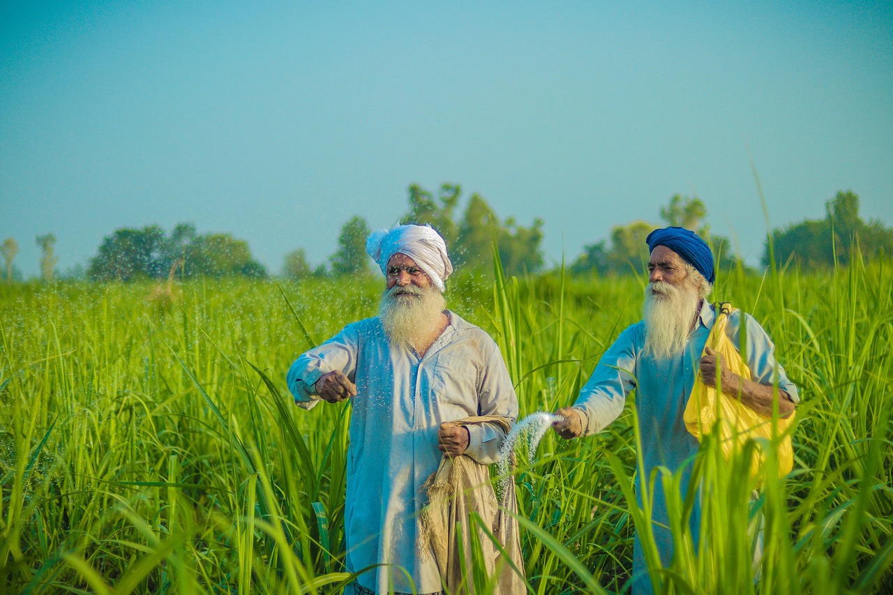 20,000+ Free Punjab Culture & Culture Images - Pixabay