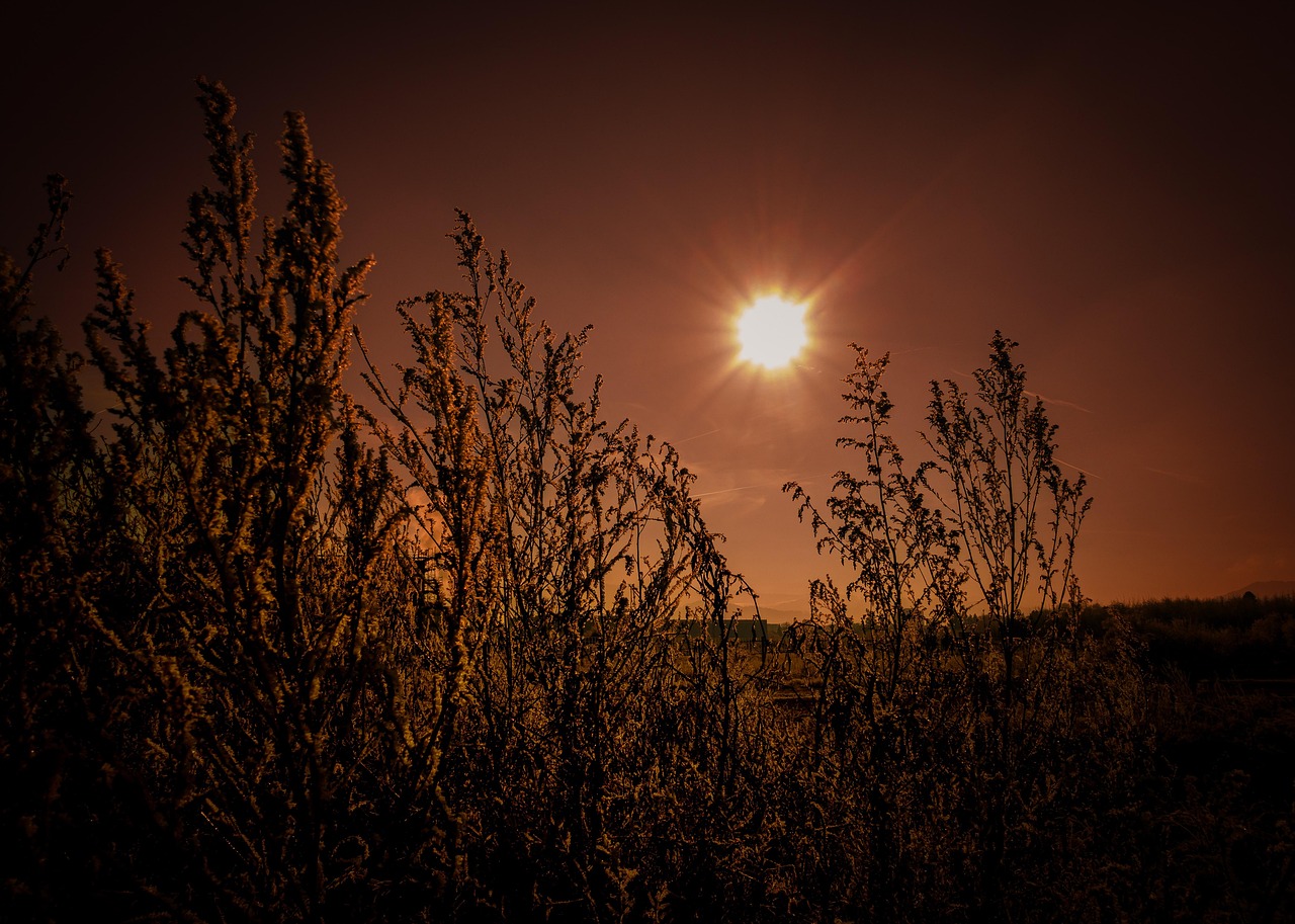 Sol Naturaleza Al Aire Libre - Foto gratis en Pixabay - Pixabay