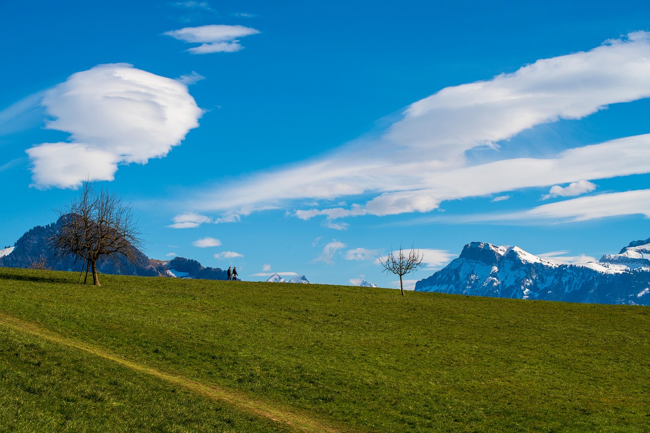 Switzerland Hills Weggis Lake - Free photo on Pixabay - Pixabay