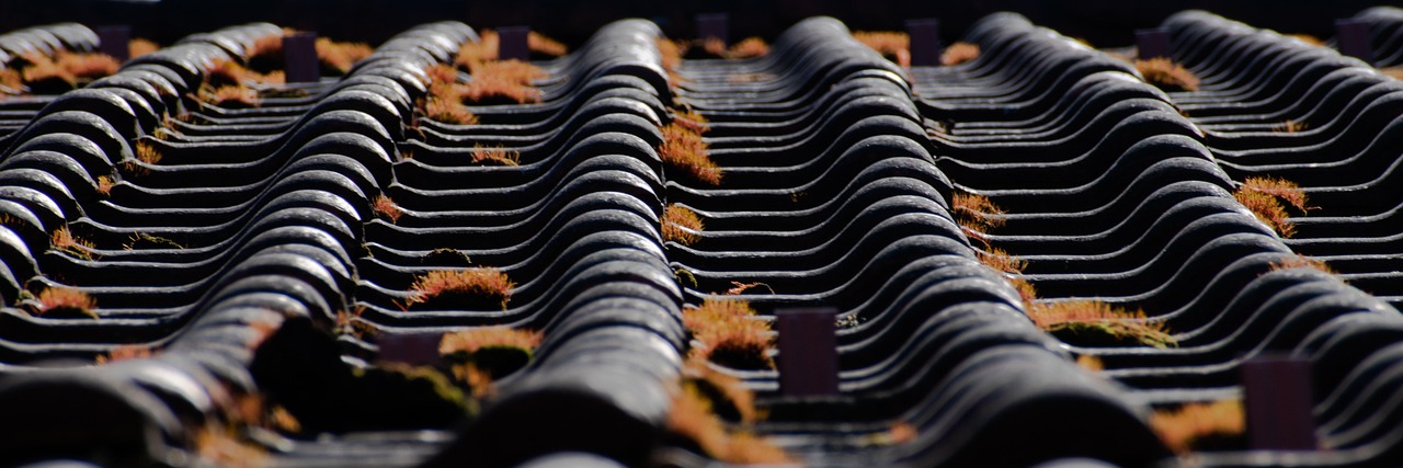 80,000+ Free Roof Texture & Roof Images - Pixabay