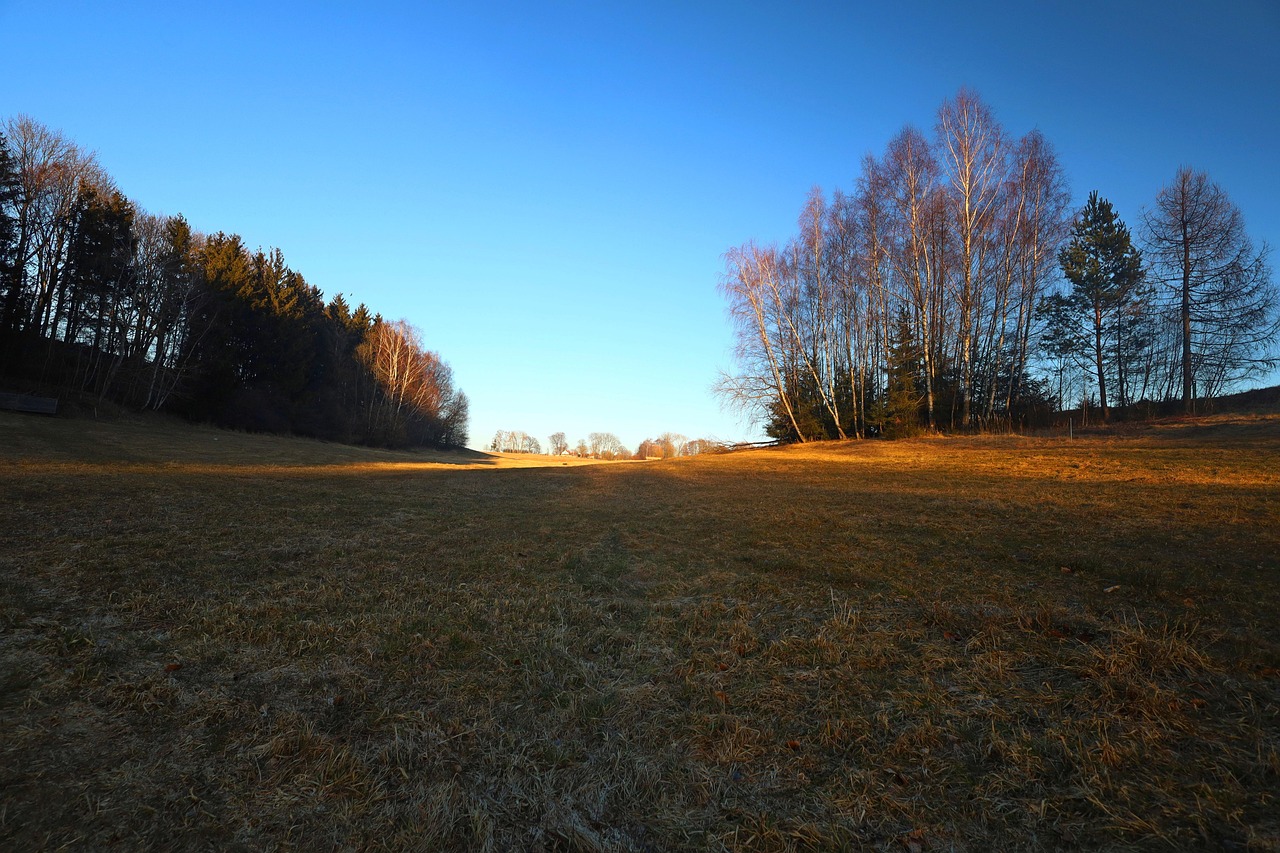 Evening Meadow Field - Free photo on Pixabay - Pixabay