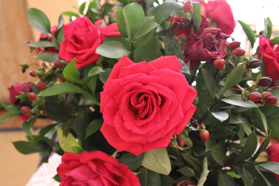 Rose Fleur Flore - Photo gratuite sur Pixabay - Pixabay
