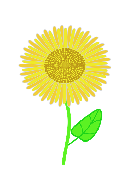 Blomma Bloom Botanik - Gratis bilder på Pixabay - Pixabay