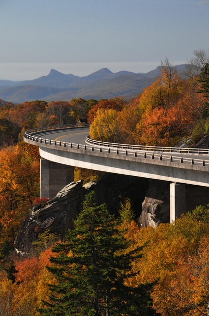10,000+ Free North Carolina & Nature Images - Pixabay