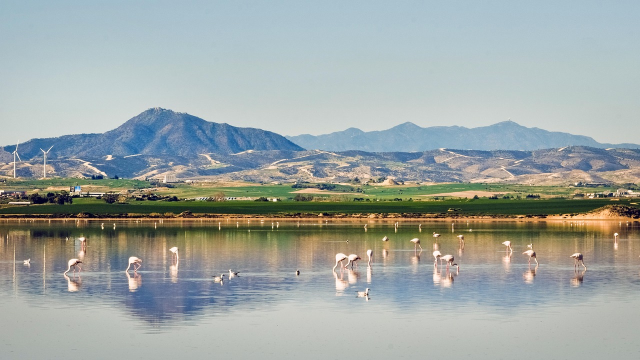 Lake Nature Outdoors - Free photo on Pixabay