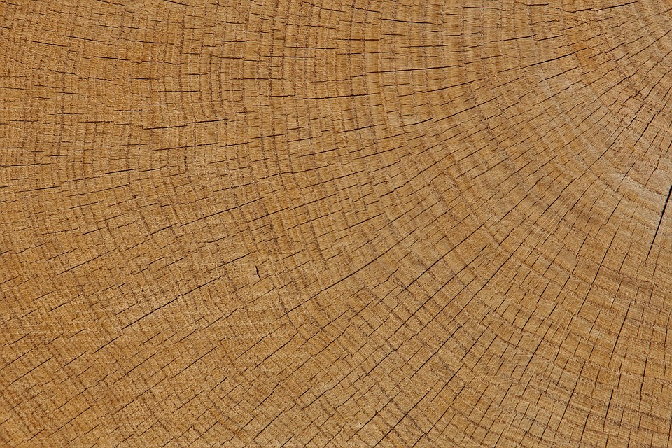 Wood Structure Grain - Free photo on Pixabay - Pixabay