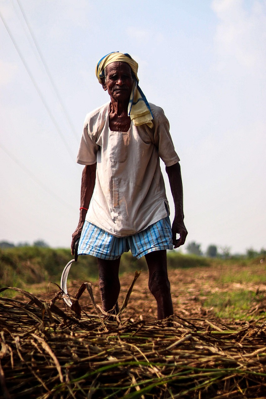 20,000+ Free Indian Farmer Field & Farmer Images - Pixabay