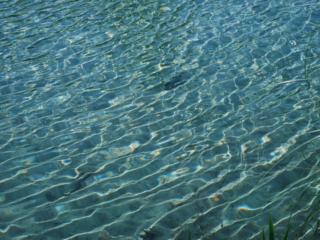 Wasser Welle Meer - Kostenloses Foto auf Pixabay