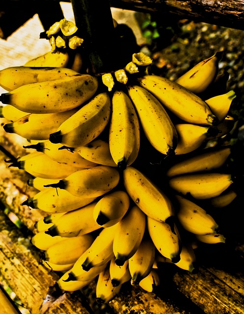Pisang Buah Segar - Foto gratis di Pixabay - Pixabay
