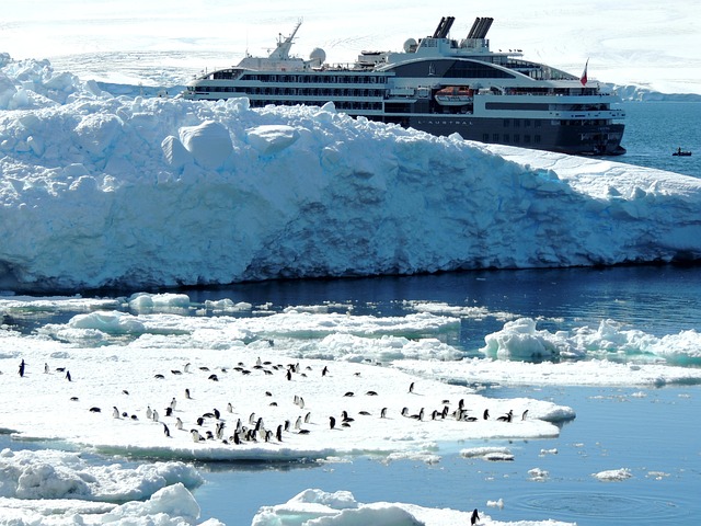 Iceberg Cruise Ship Penguins - Free photo on Pixabay - Pixabay