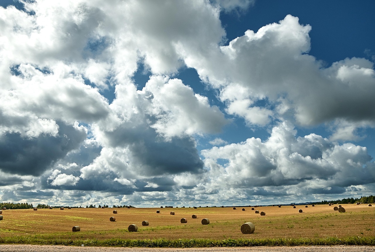 3,000+ Free Hay Bales & Hay Photos - Pixabay