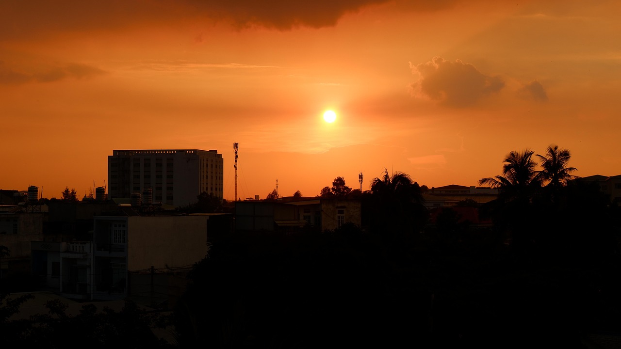 Sunset Night Tree - Free photo on Pixabay - Pixabay