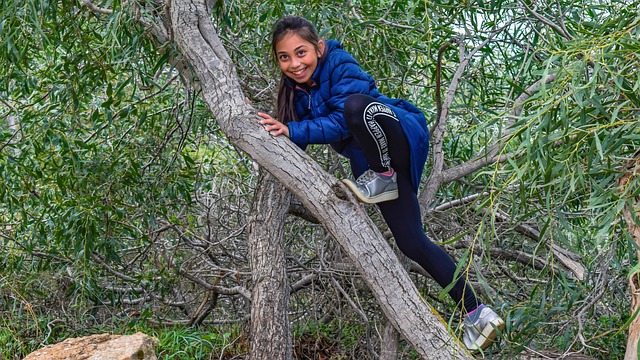 Teenager Girl Tree - Free photo on Pixabay - Pixabay